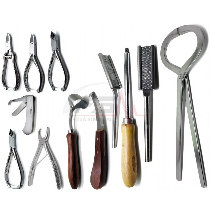 Veterinary Instruments | Fizza Surgical International