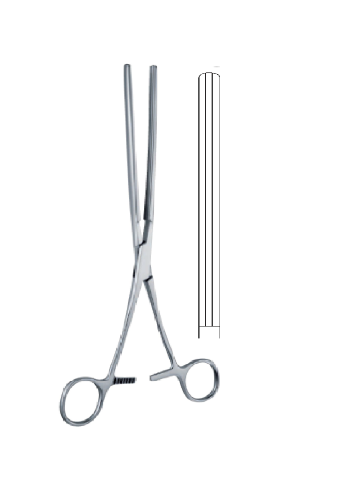 Kocher 280mm-11 " Clamps | Fizza Surgical International
